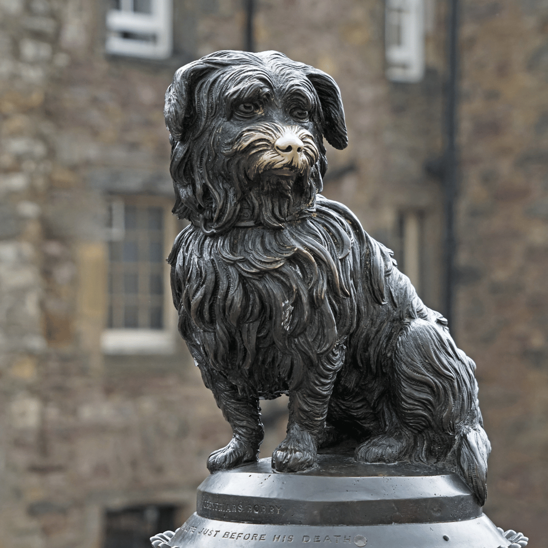 Facts about Edinburgh | Scotland Camping | Drummohr